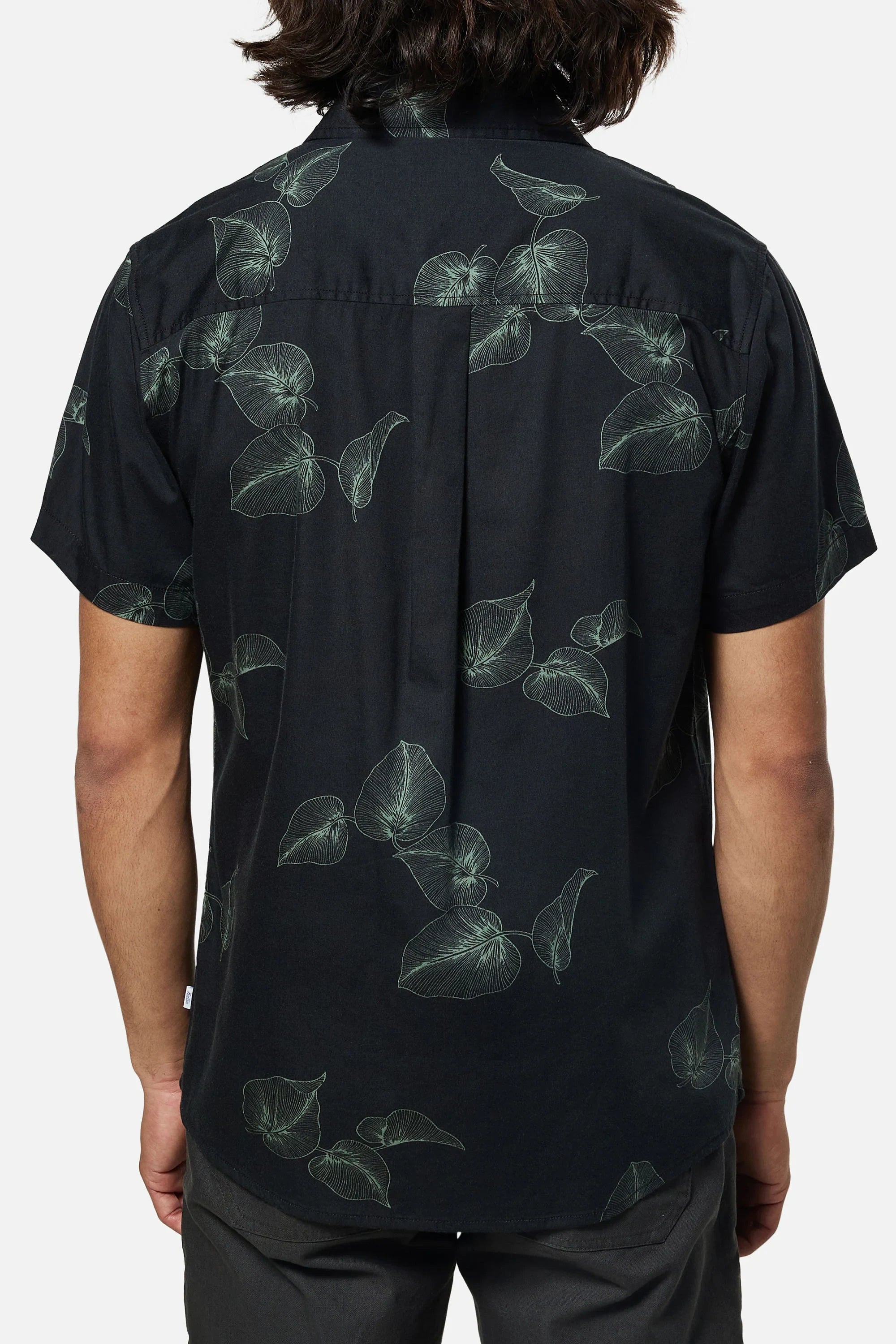 New Arrivals – Ray Rickburn